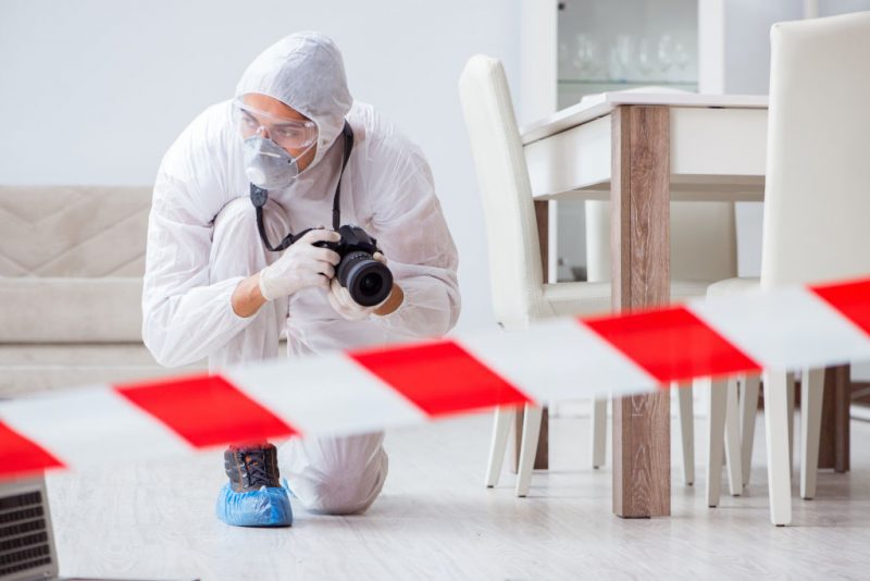 🥇 Perito Forense | Informe Forense Pericial